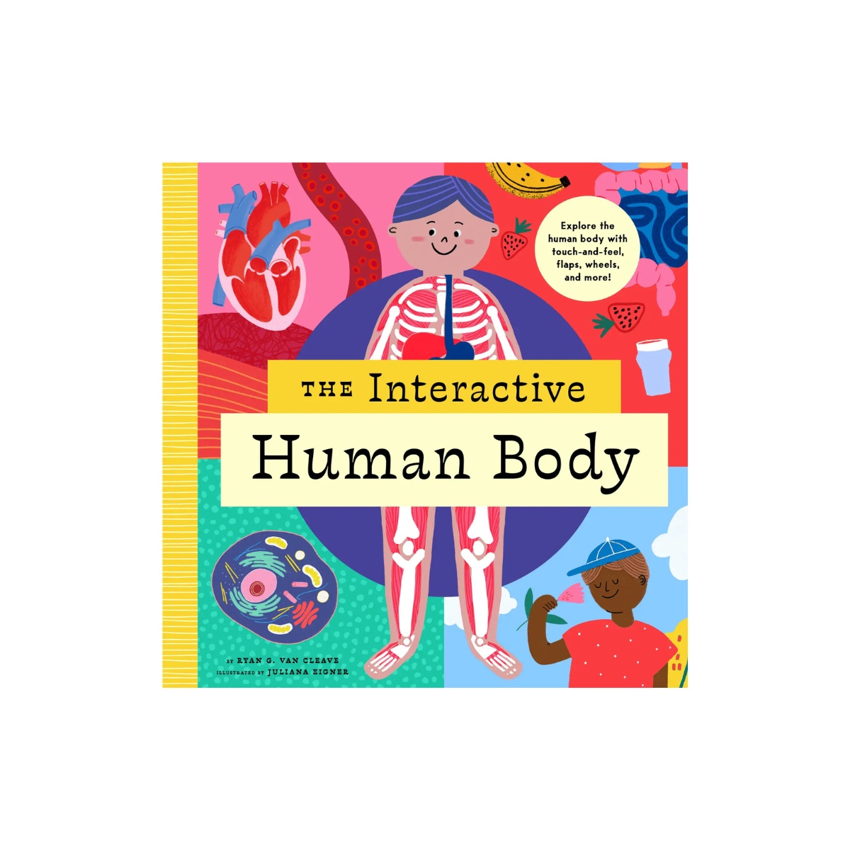 The Interactive Human Body– Pippin Toy Co.